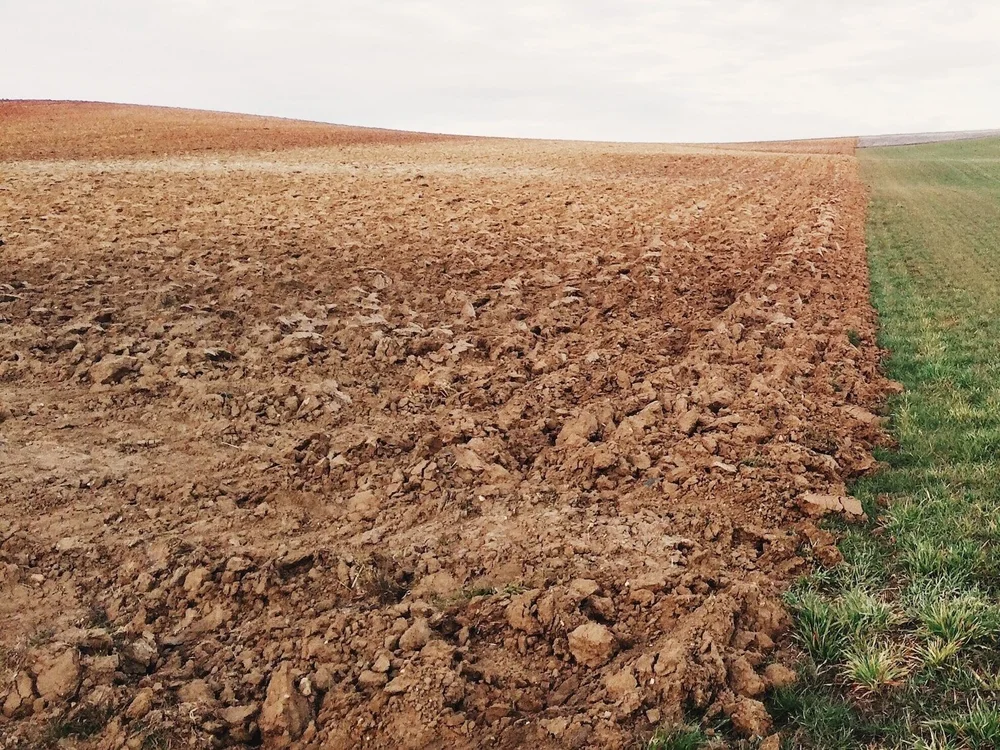 Sod Delivery & DIY Sod Installation | Green Horizons Turf Farm
