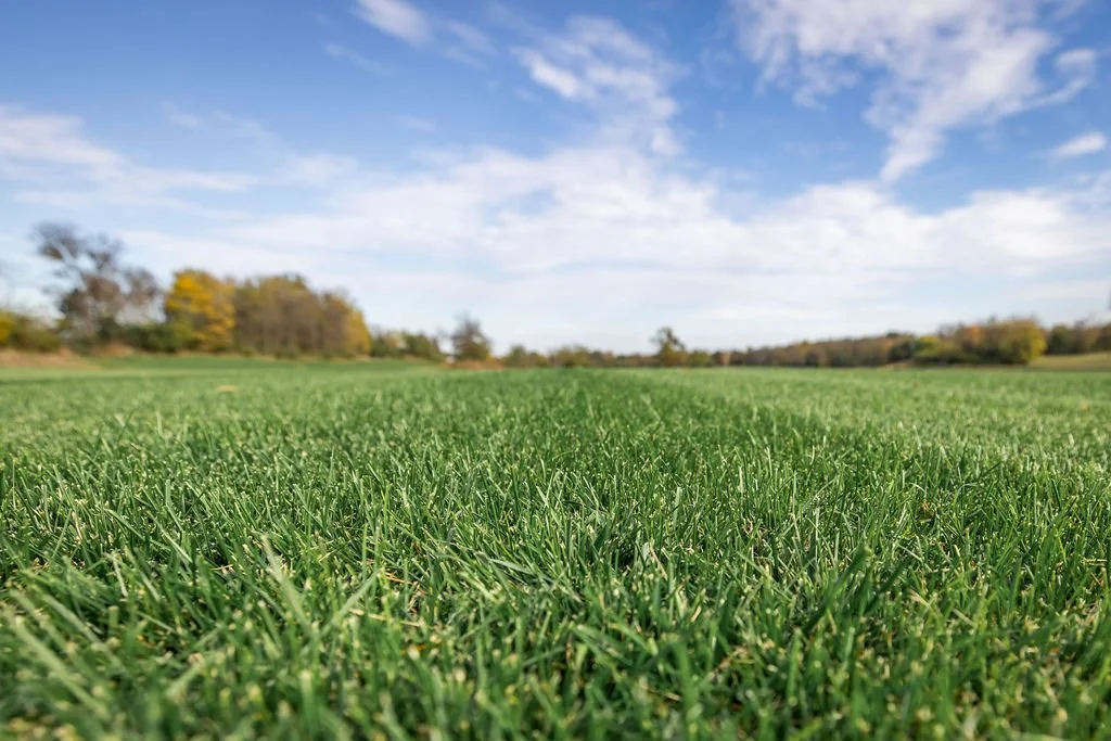 Sod Delivery in VA, MD, PA, WV | Green Horizons Turf Farm