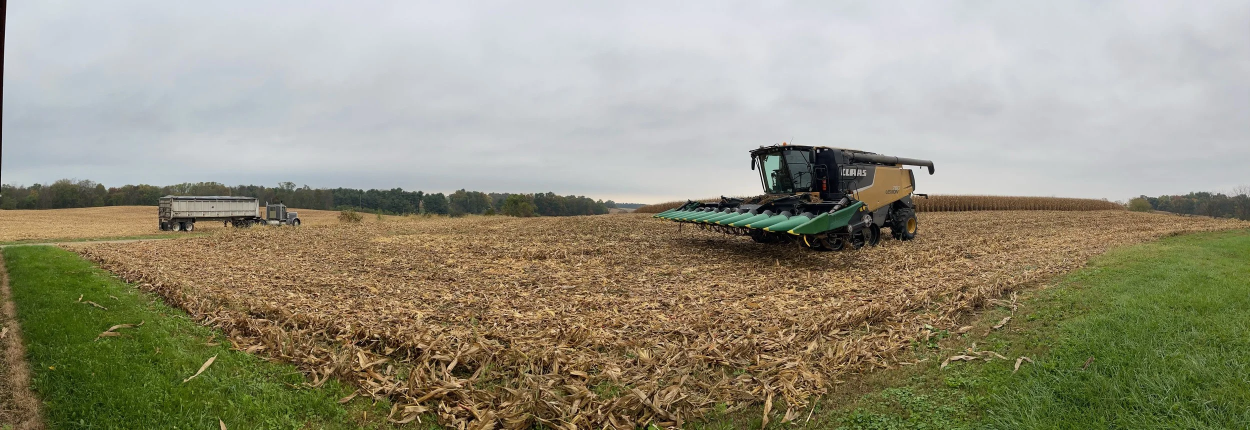 Events — Long Lane Farm