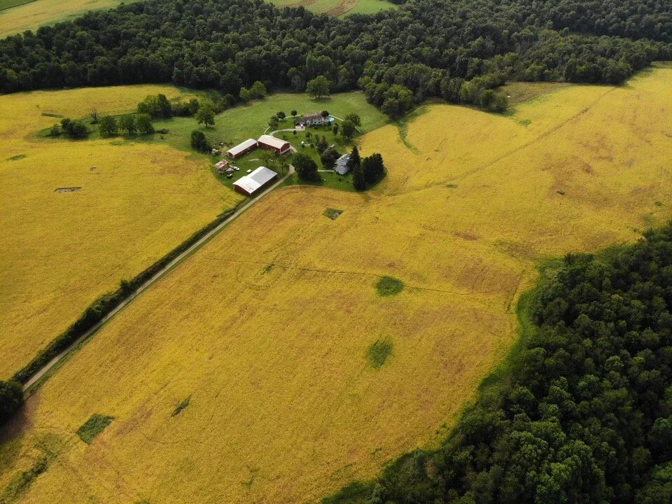 Long Lane Farm