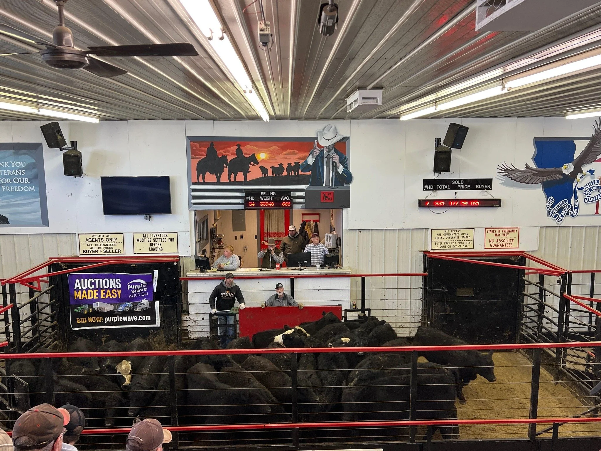 Market Reports | Western Livestock Auctions