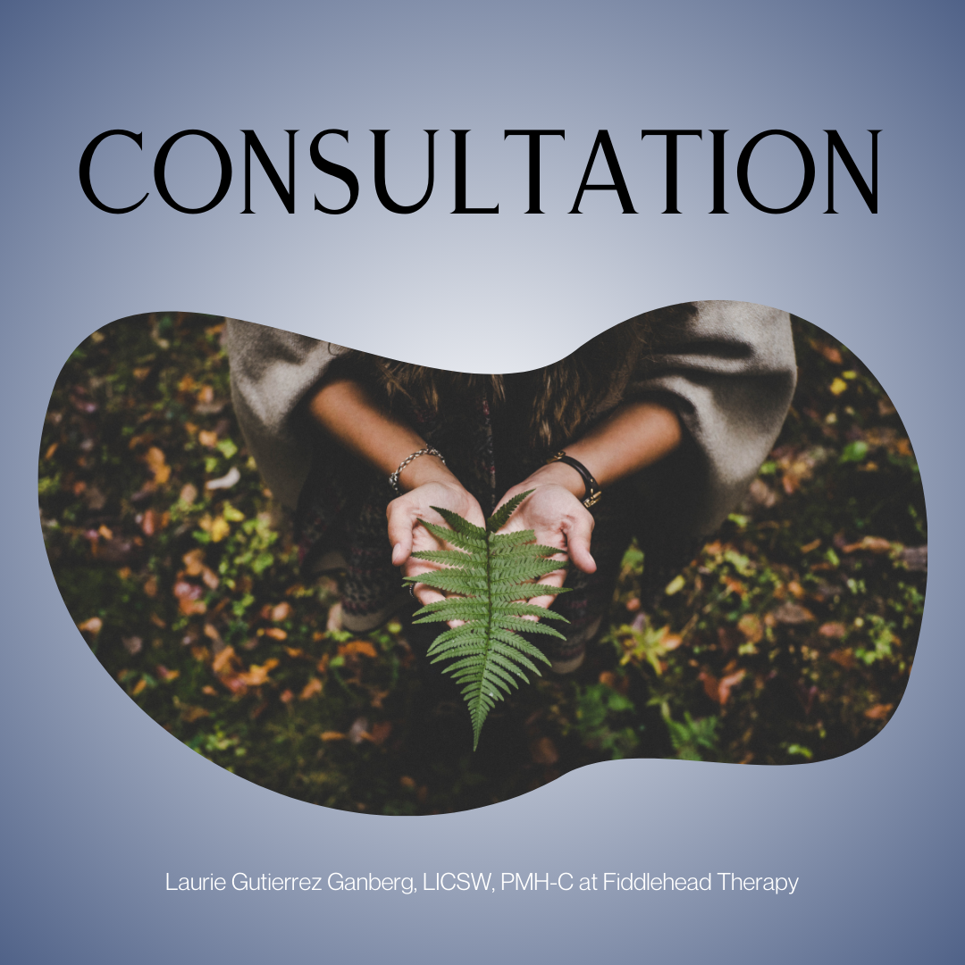 Supervision, Consultation & Trainings for Washington Therapists ...