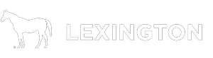 Imagine Lexington