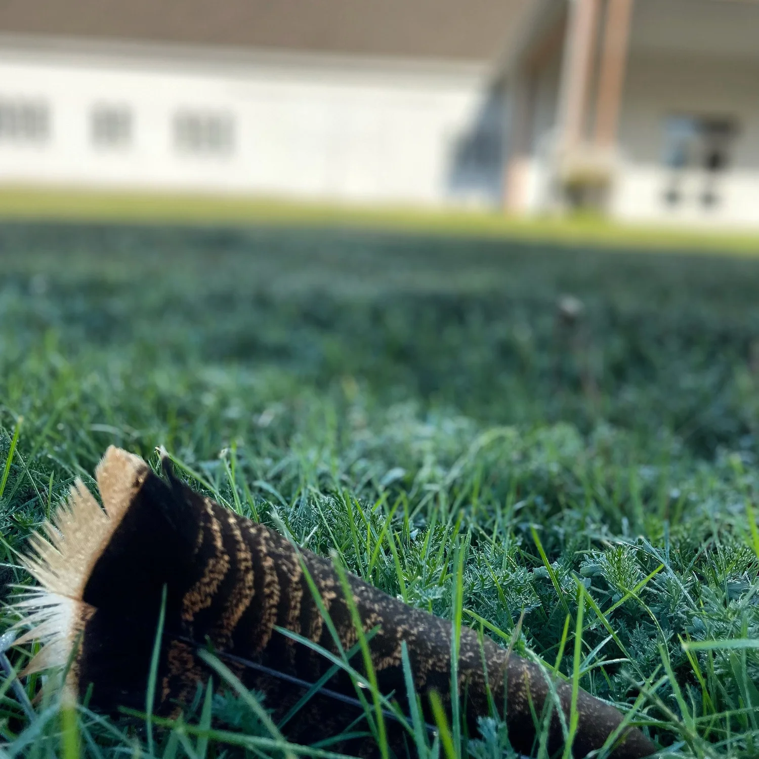 FIELD TRIPS — Prairie Loft Center for Outdoor & Agricultural Learning