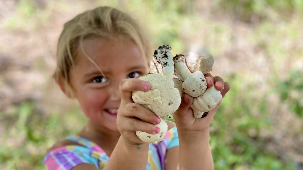 FIELD TRIPS — Prairie Loft Center for Outdoor & Agricultural Learning