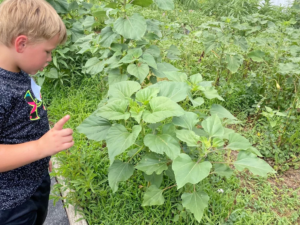 FIELD TRIPS — Prairie Loft Center for Outdoor & Agricultural Learning