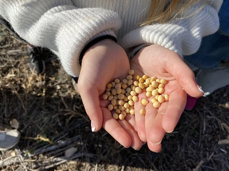 FIELD TRIPS — Prairie Loft Center for Outdoor & Agricultural Learning
