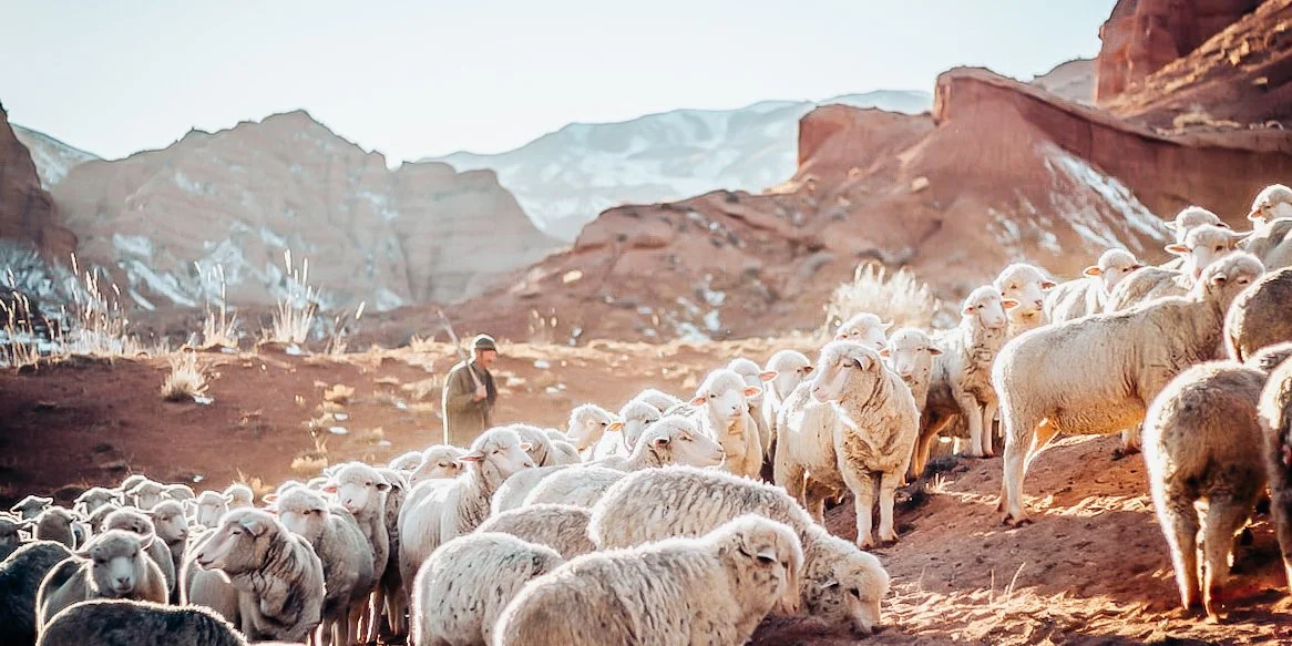 Bride of Messiah: The Inheritance of Israel — themadewholefaith.com