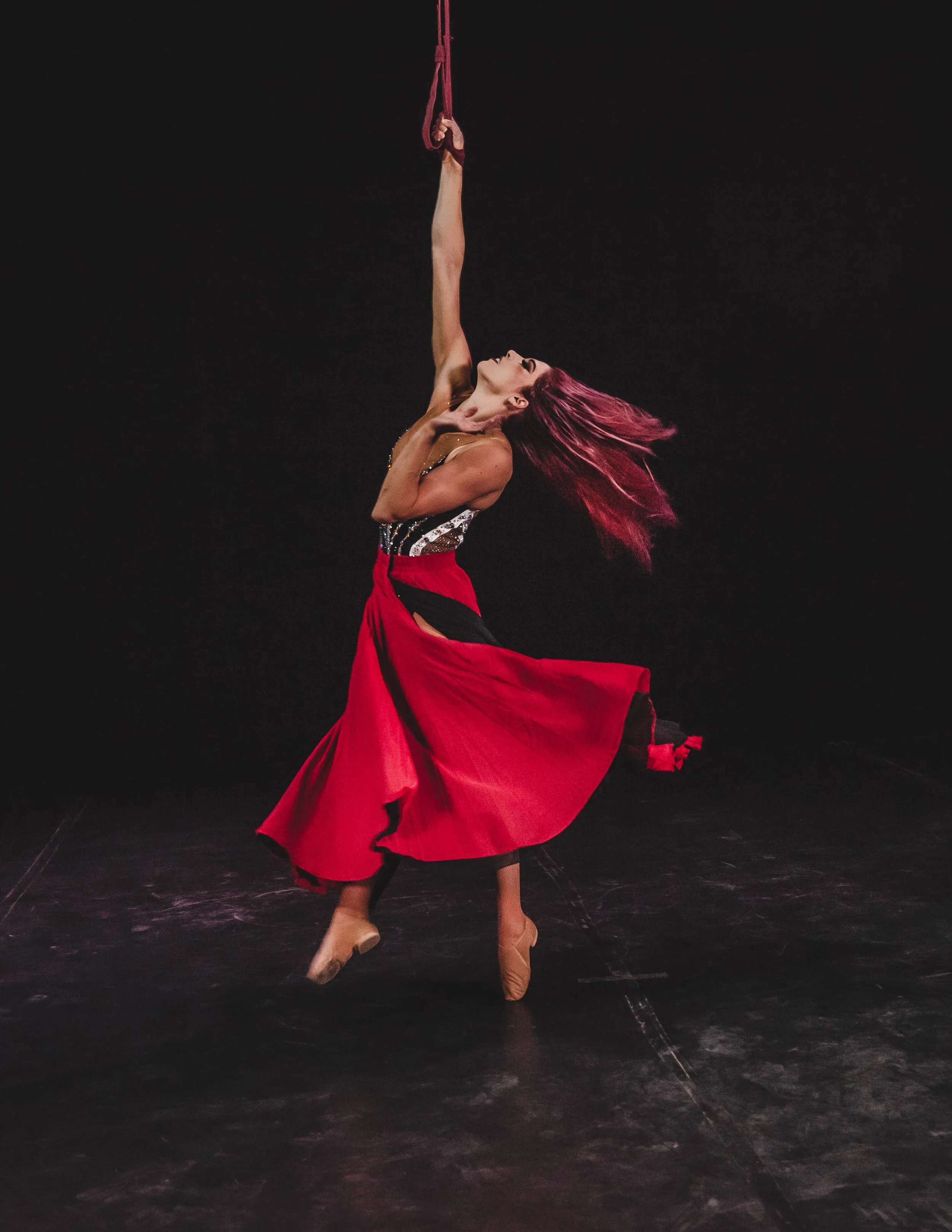 welcome to the menagerie