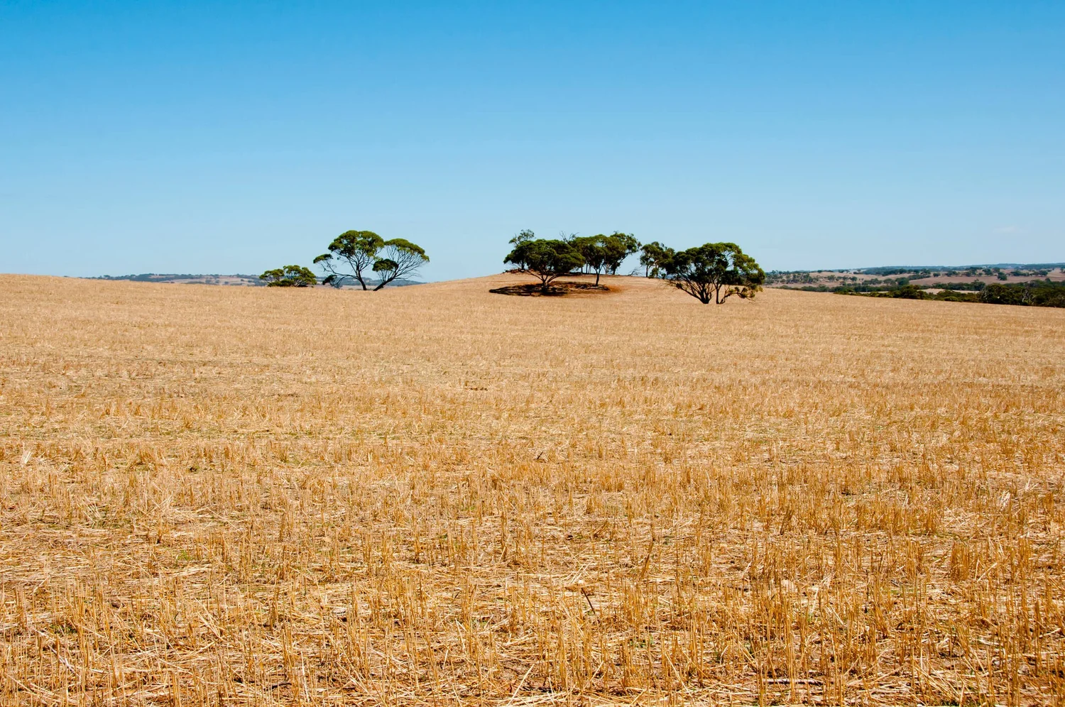 Wheatbelt Region — Amity Health