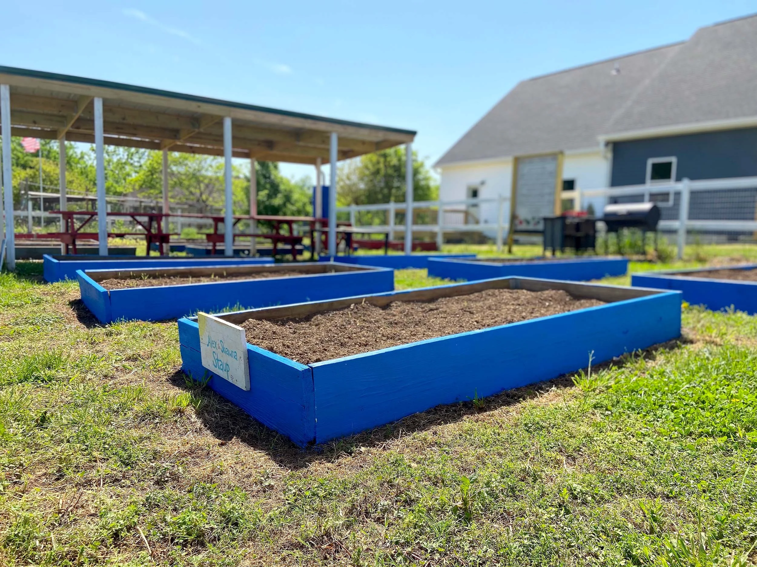 Community Gardens in Blythe Oldfield — City Fields