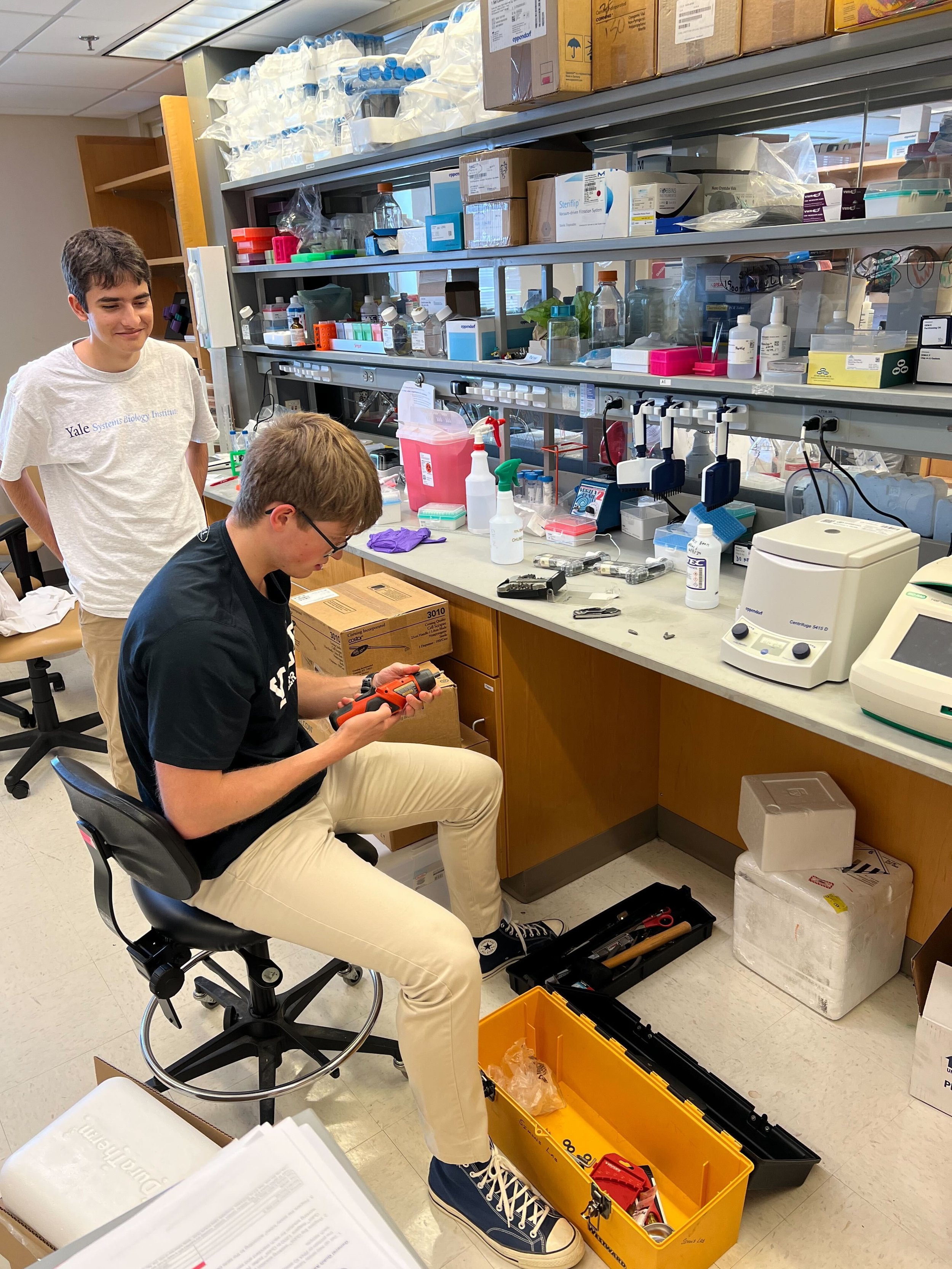 Gallery 1 — Hattie Chung Lab