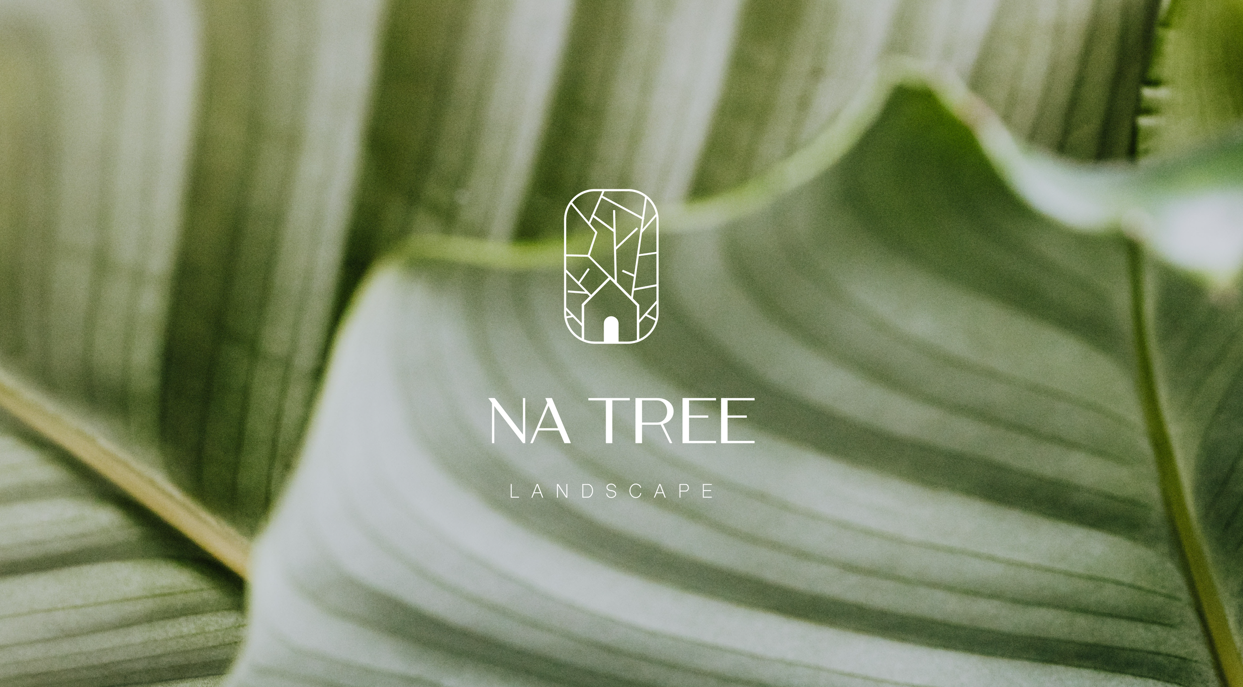 007. NA TREE LANDSCAPE — STUDIO SIETE