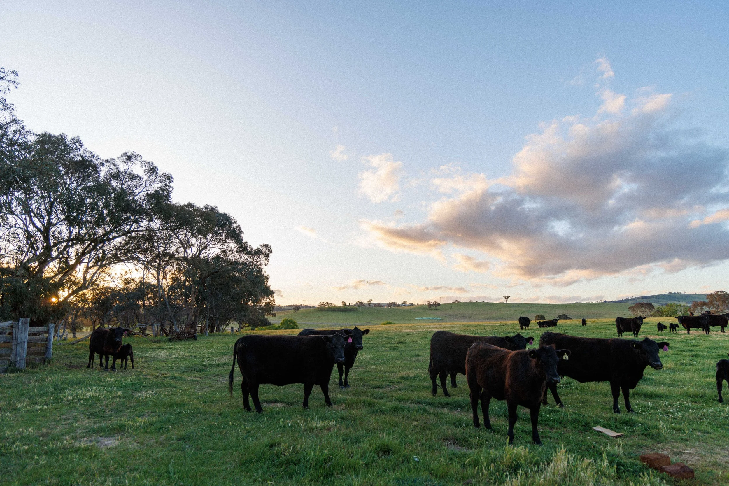 The Farm | Discover, Relax, Book Today — Rest | at BoxGrove
