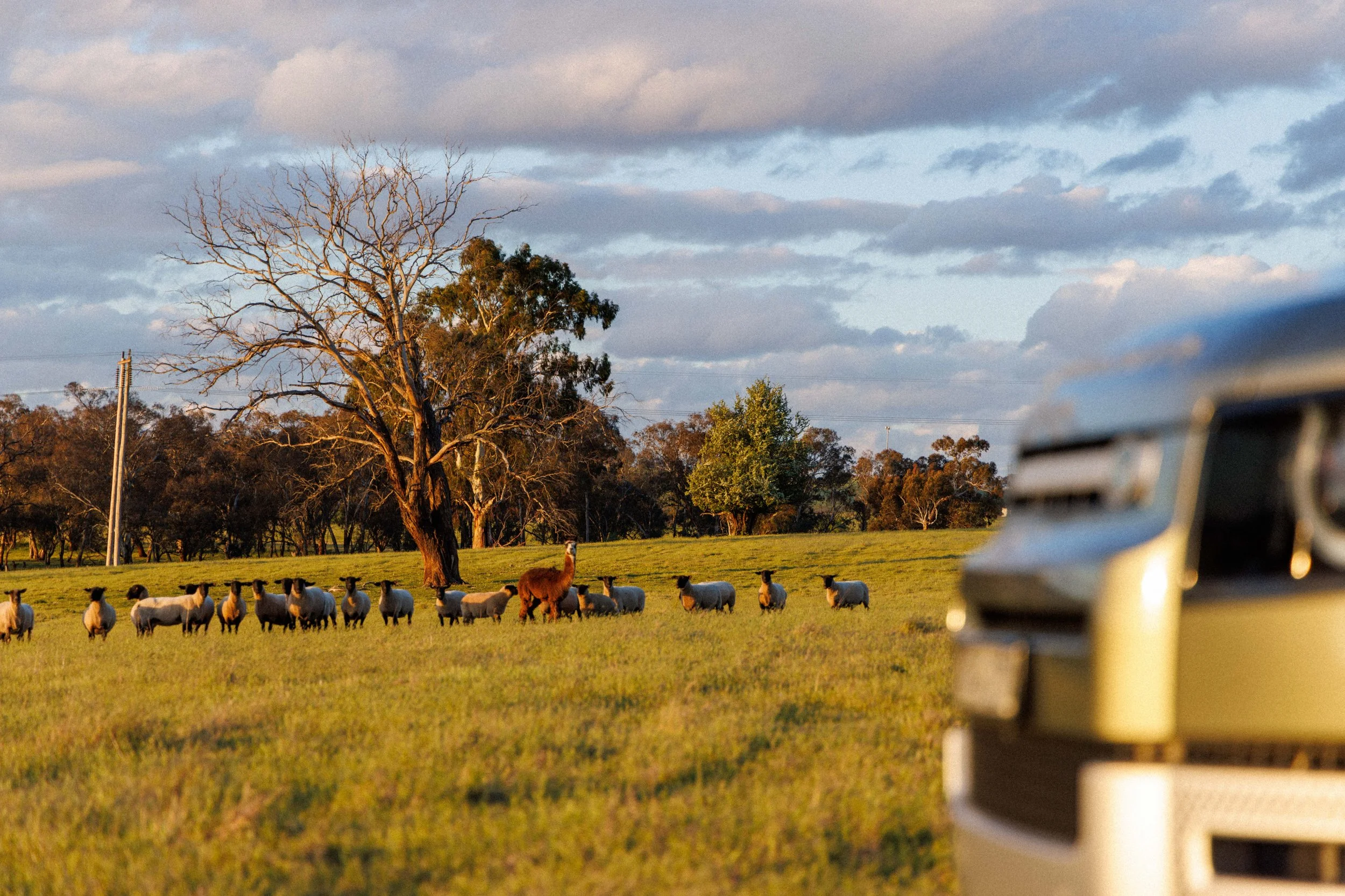 The Farm | Discover, Relax, Book Today — Rest | at BoxGrove