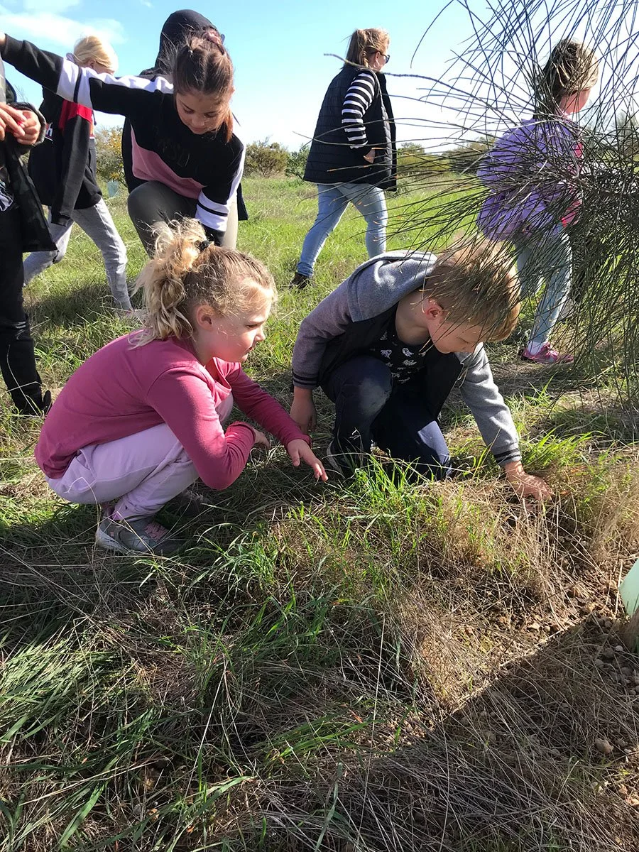 OSHC — Moonta Area School