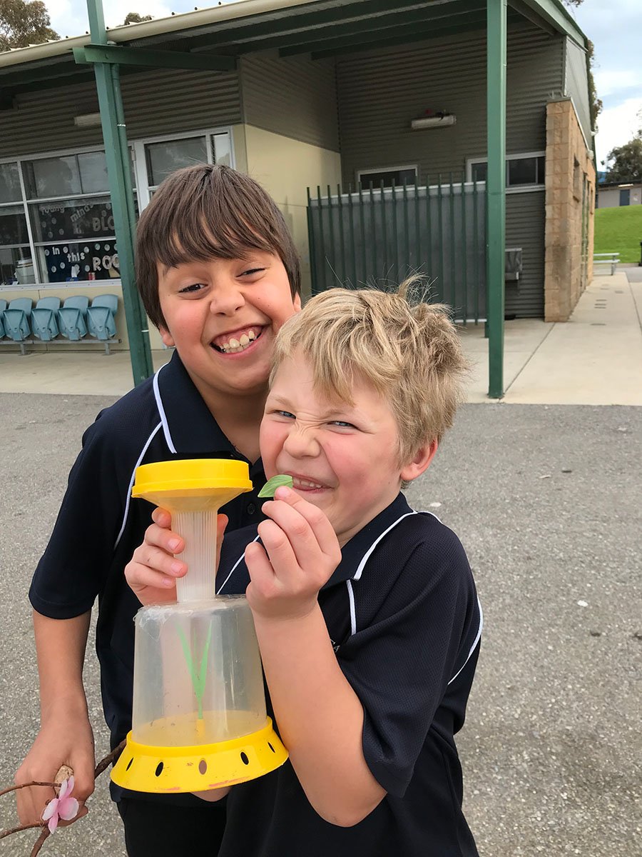 OSHC — Moonta Area School