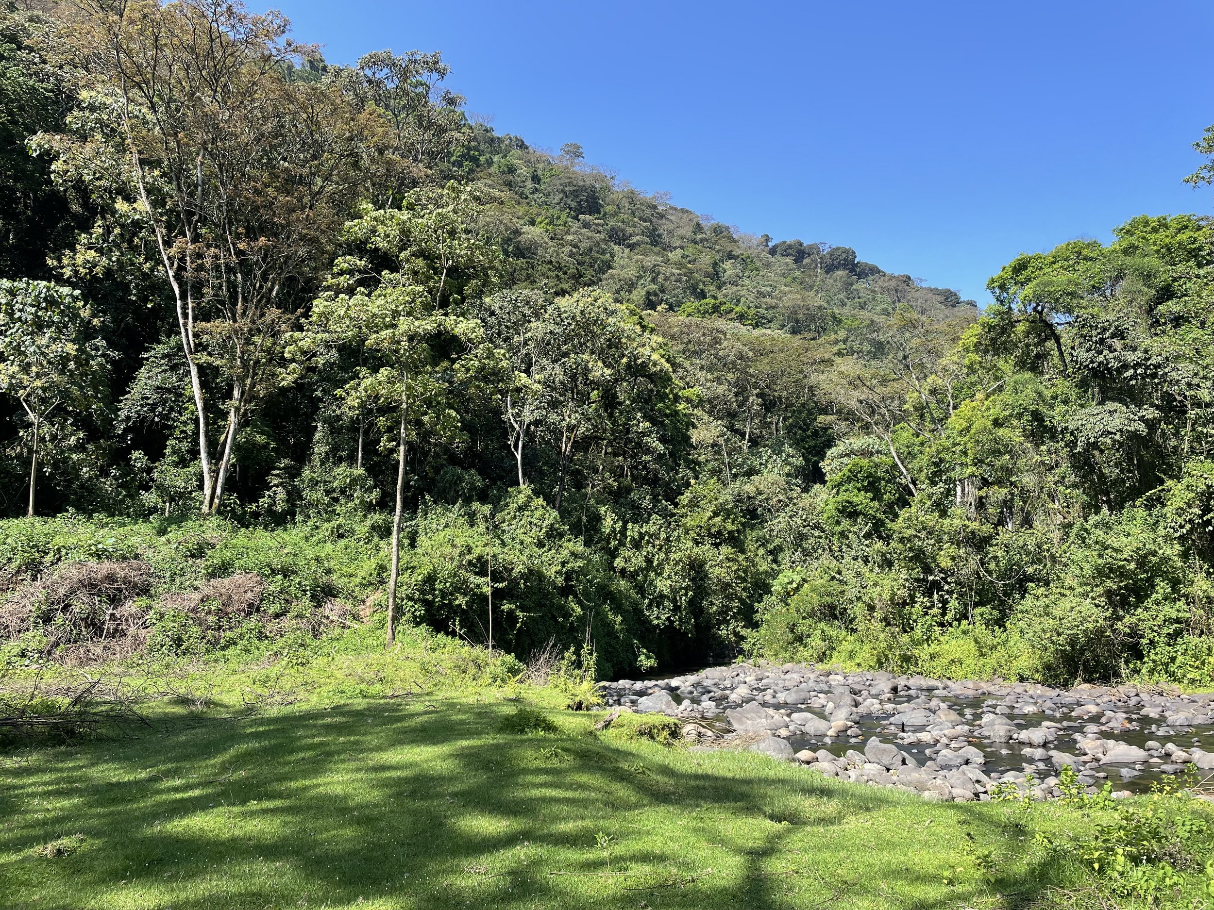 Everything you need to know — Gura River Camp