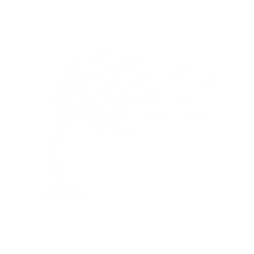 Laura Larkin Psychology | Explore mental wellness today