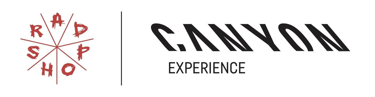 RAD SHOP HAMBURG — RAD RACE