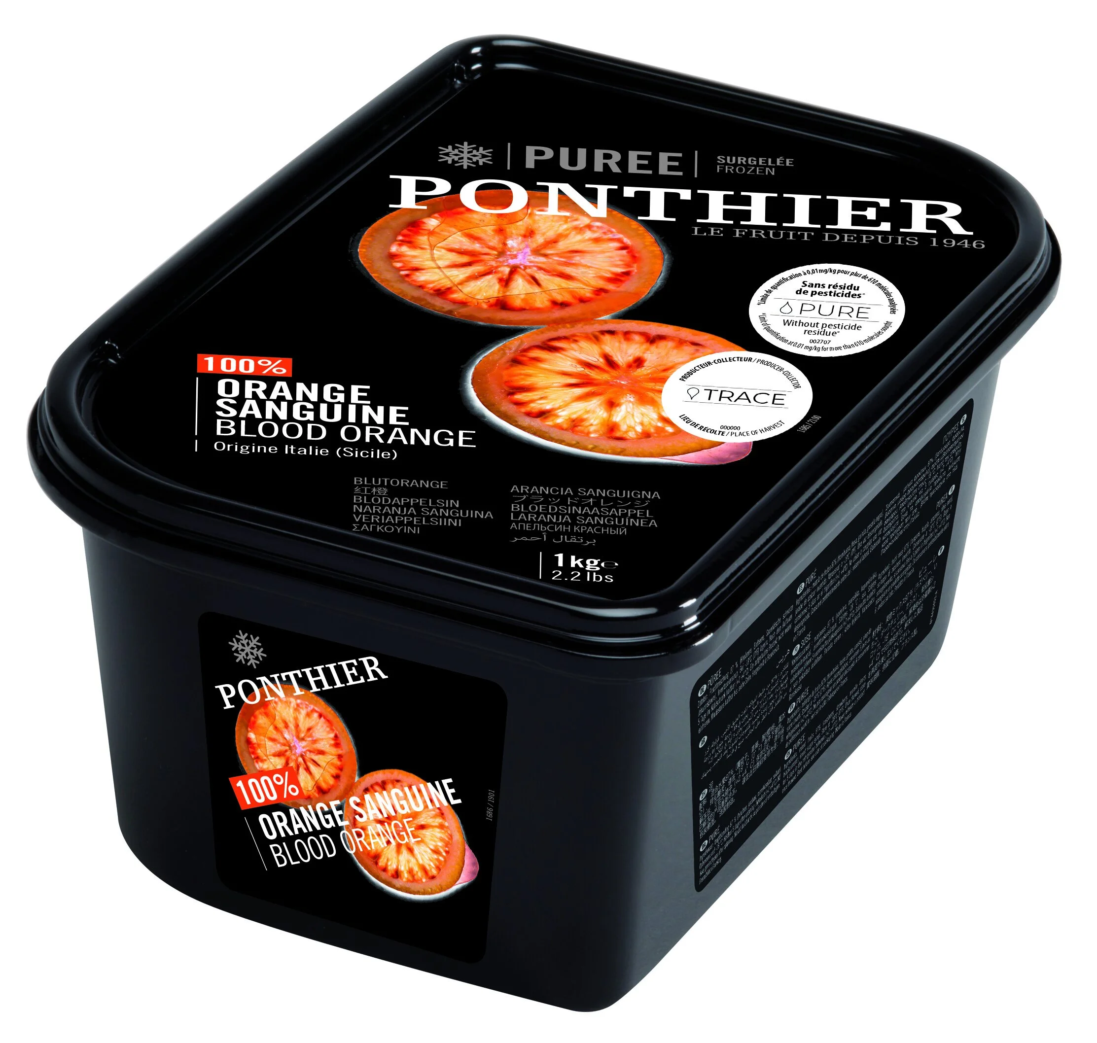 Ponthier Veriappelsiinipyree 100% 1 kg — PNM-Chipsters