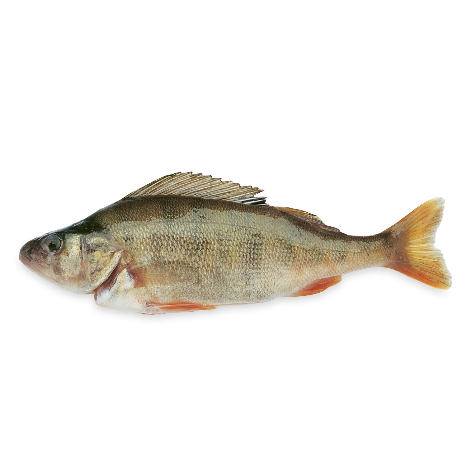 Ahven I kokonainen pyöreä n. 200 g — PNM-Chipsters