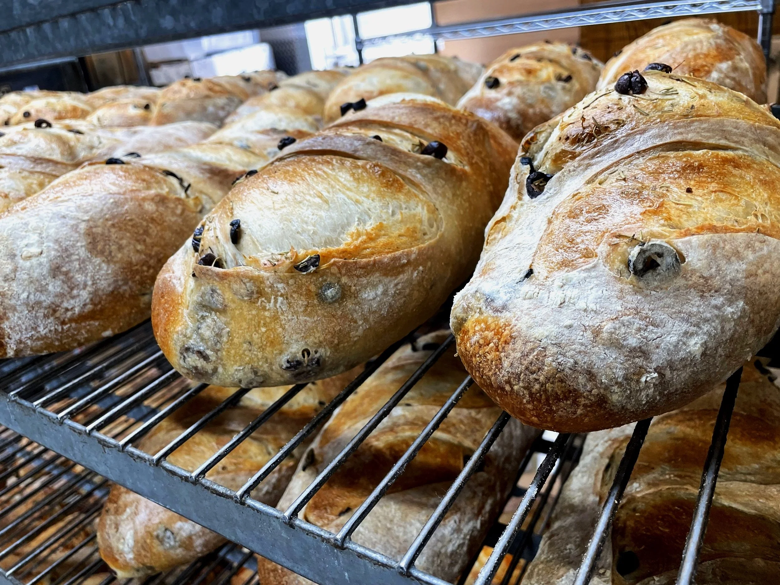 General 1 — OZARK NATURAL BREADS
