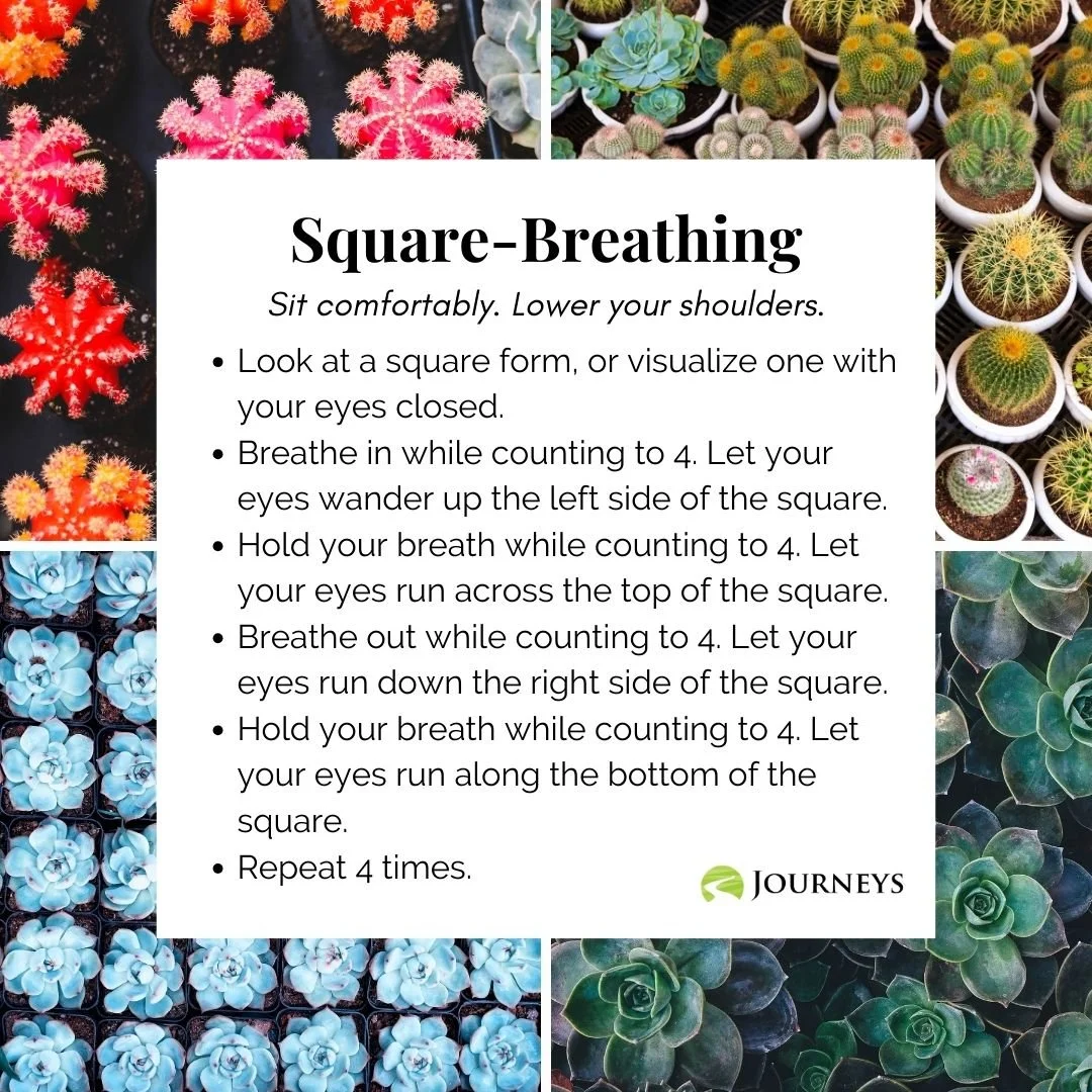 The Science of Deep Breathing: A Practical Tool for Emotional ...