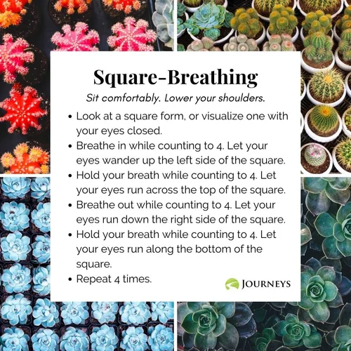 The Science of Deep Breathing: A Practical Tool for Emotional ...