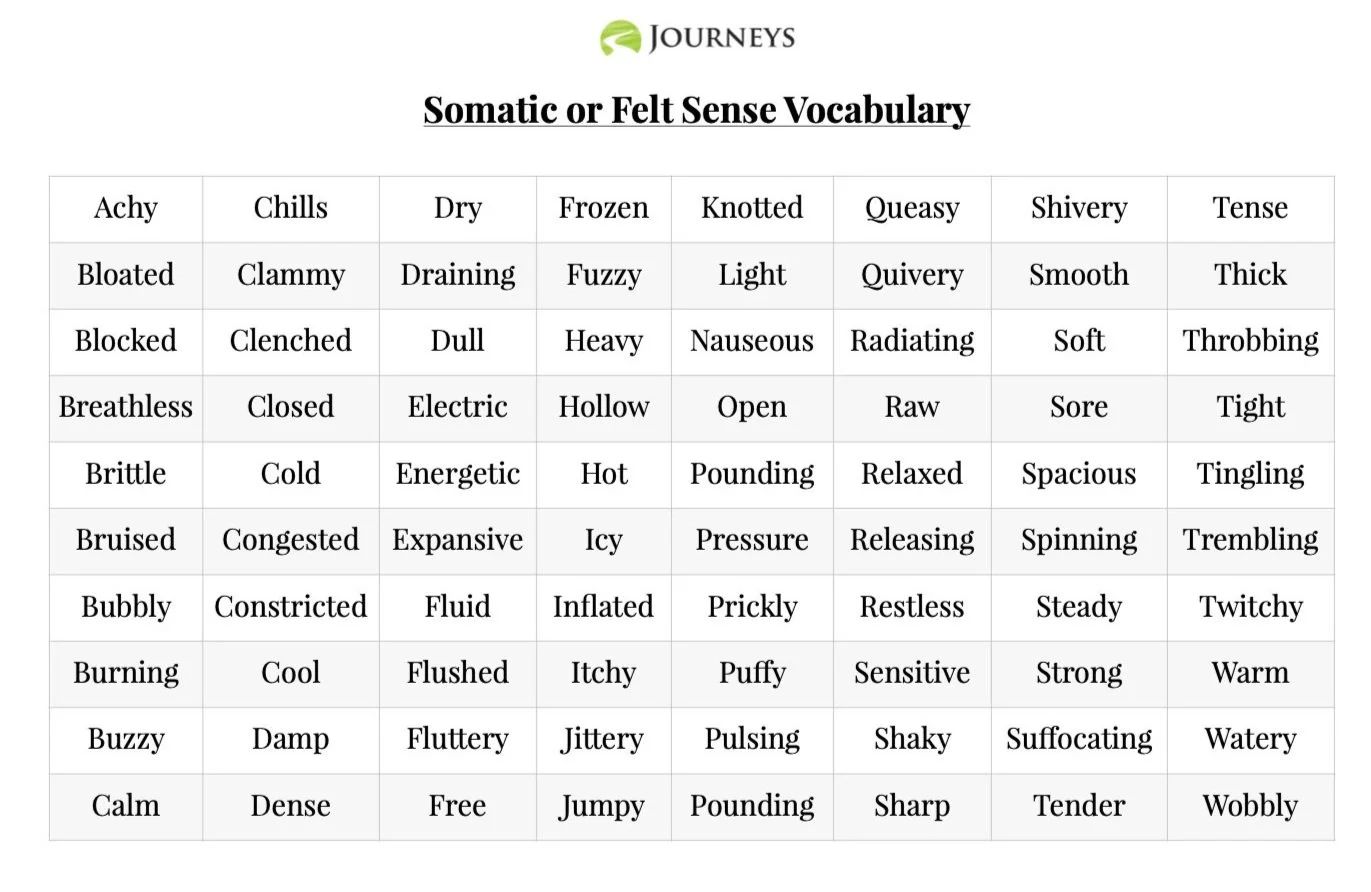 Understanding Body Sensations: A Guide to Somatic Vocabulary and ...