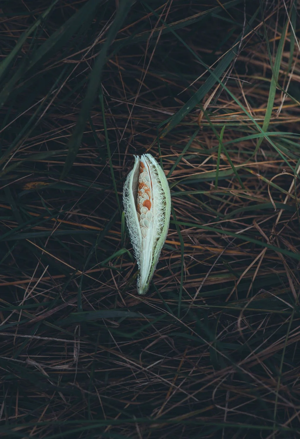 Aligned Health Group