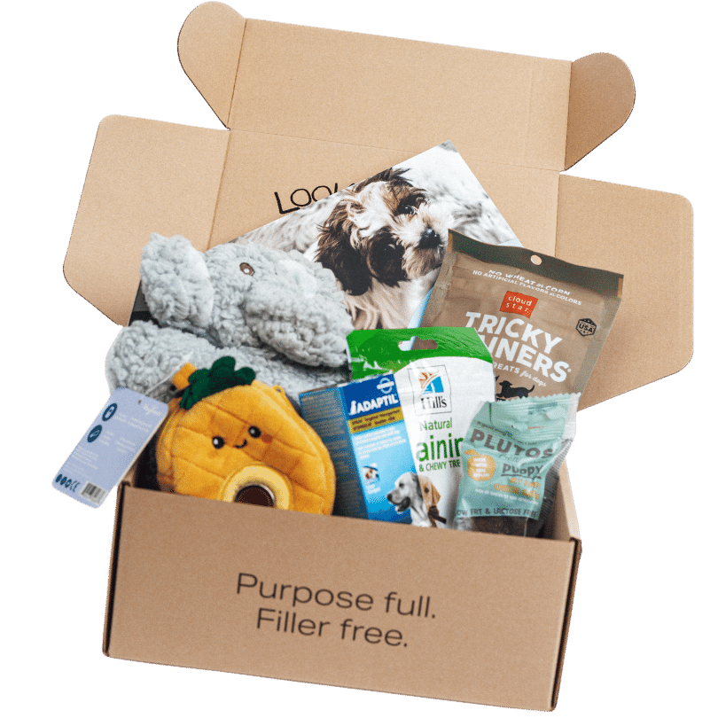 Dog Subscription Boxes — Waggle Mail - Healthy Pup, Happy Life