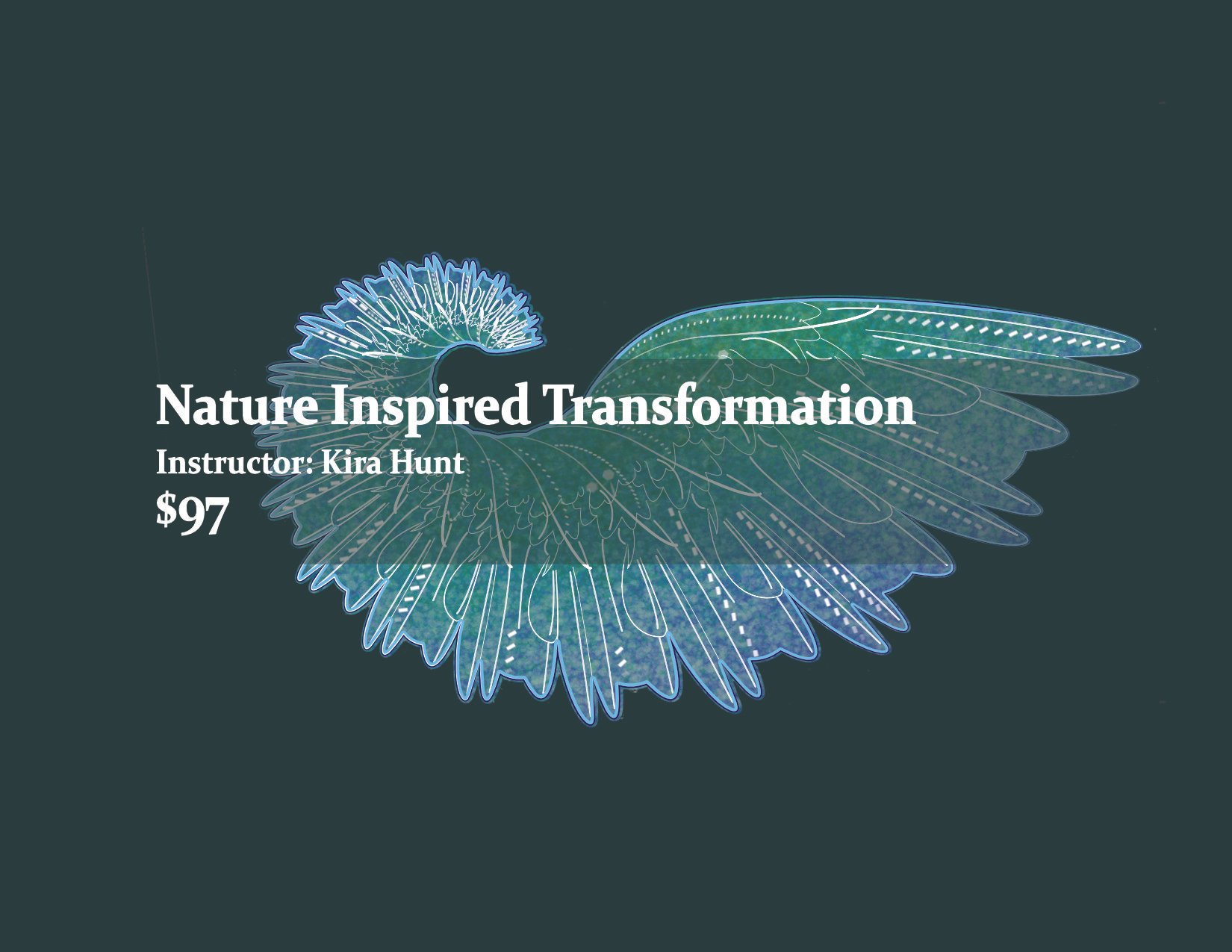 Imagining the Self — Adaptive Ecosystems