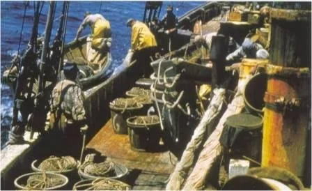 Tall Ship Schooner Adventure | A National Historic Landmark | Sail ...