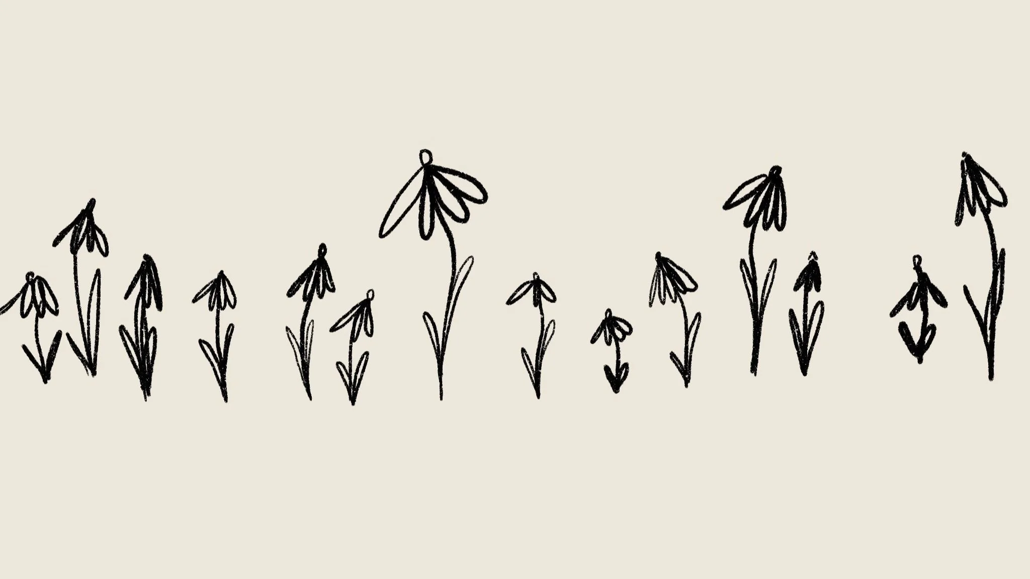 About — JENNAE CECELIA