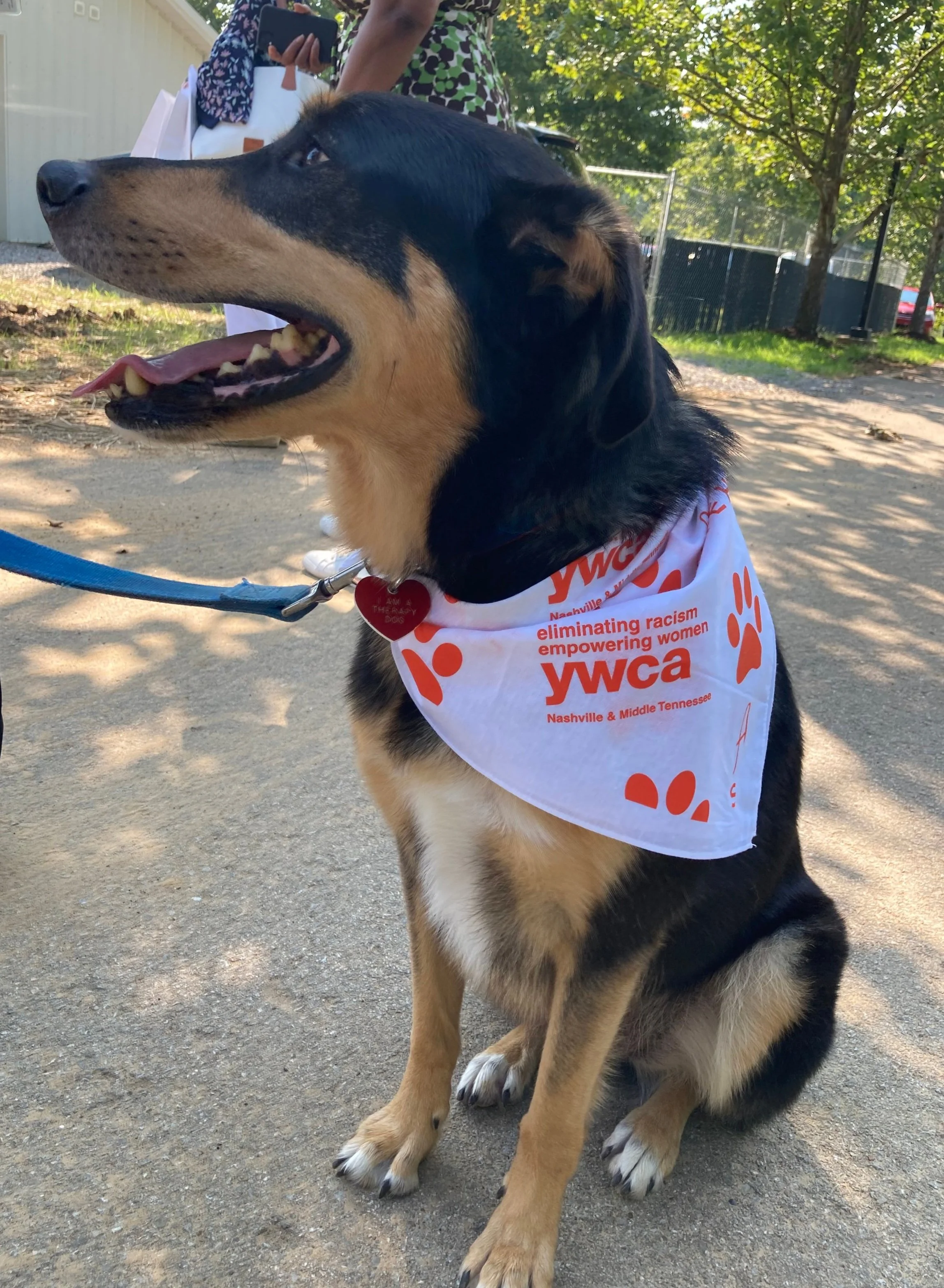 Abbie's Safe Home — YWCA Nashville & Middle Tennessee | Domestic Violence Services