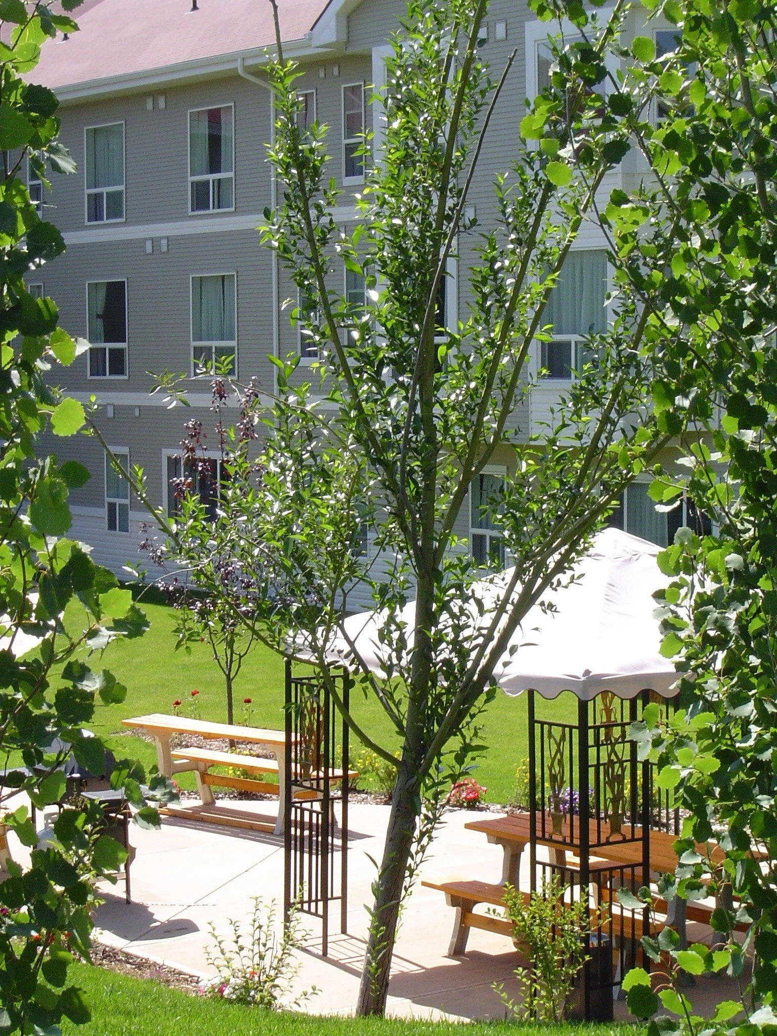 Bob Ward Residence — Onward Homes