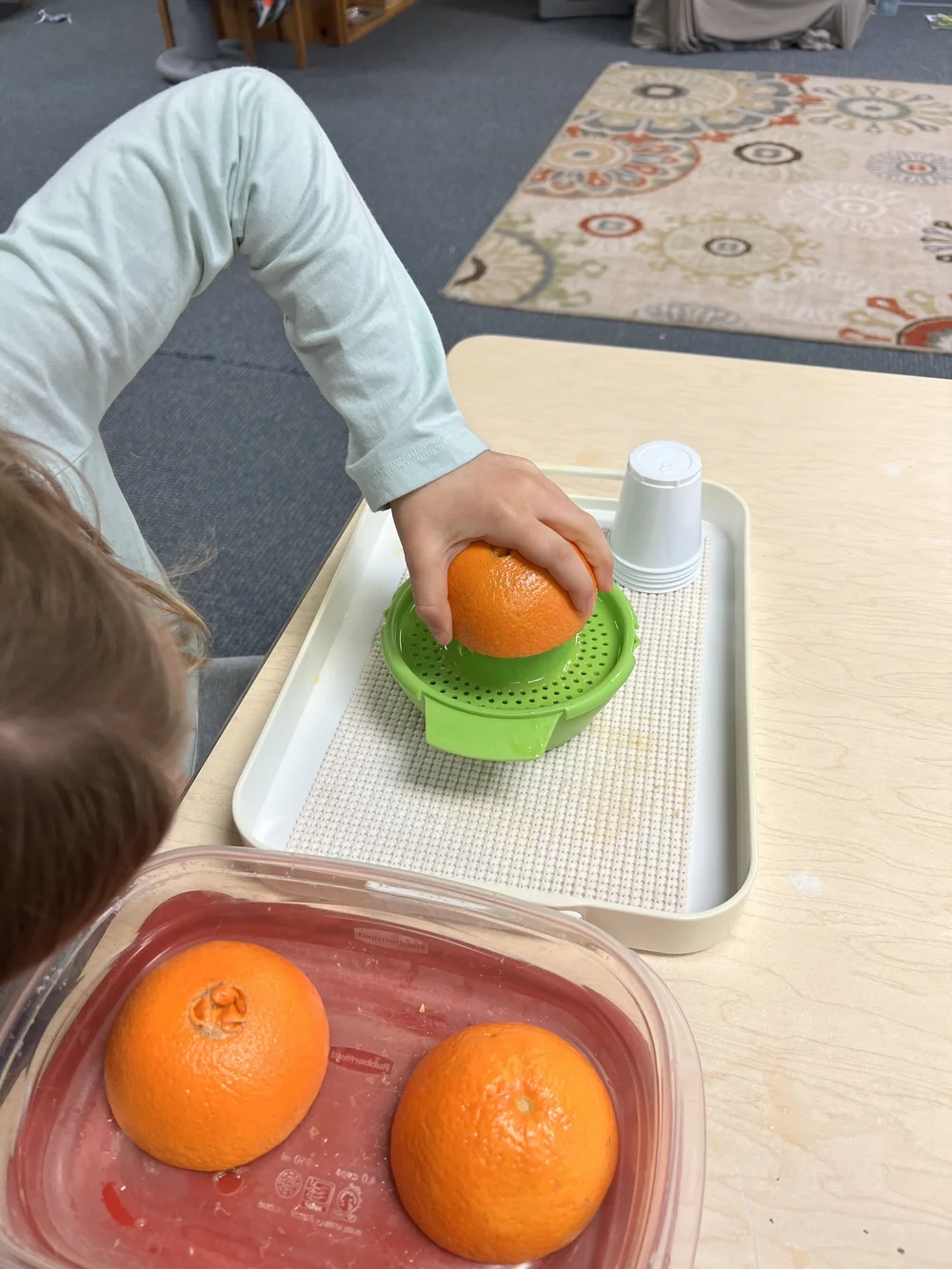 Experiential Learning — Montessori Children's House