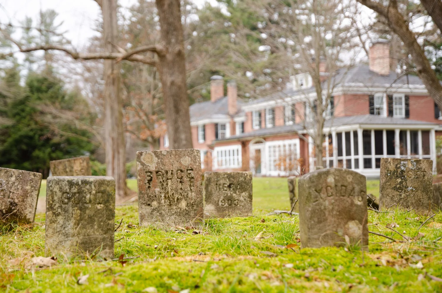 Genealogy — Sedgwick Family