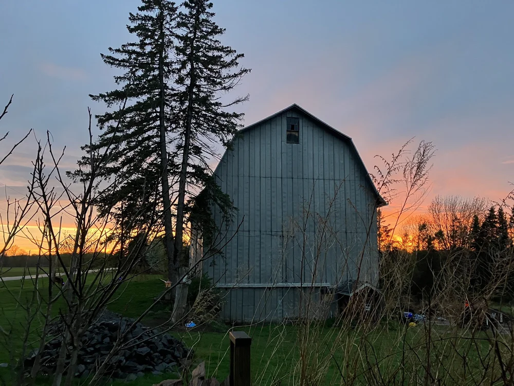 About — The Bhakti Barn Community
