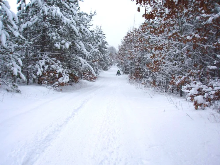 Chute Pond Snowmobile Club — Chute Pond Snowmobile Club