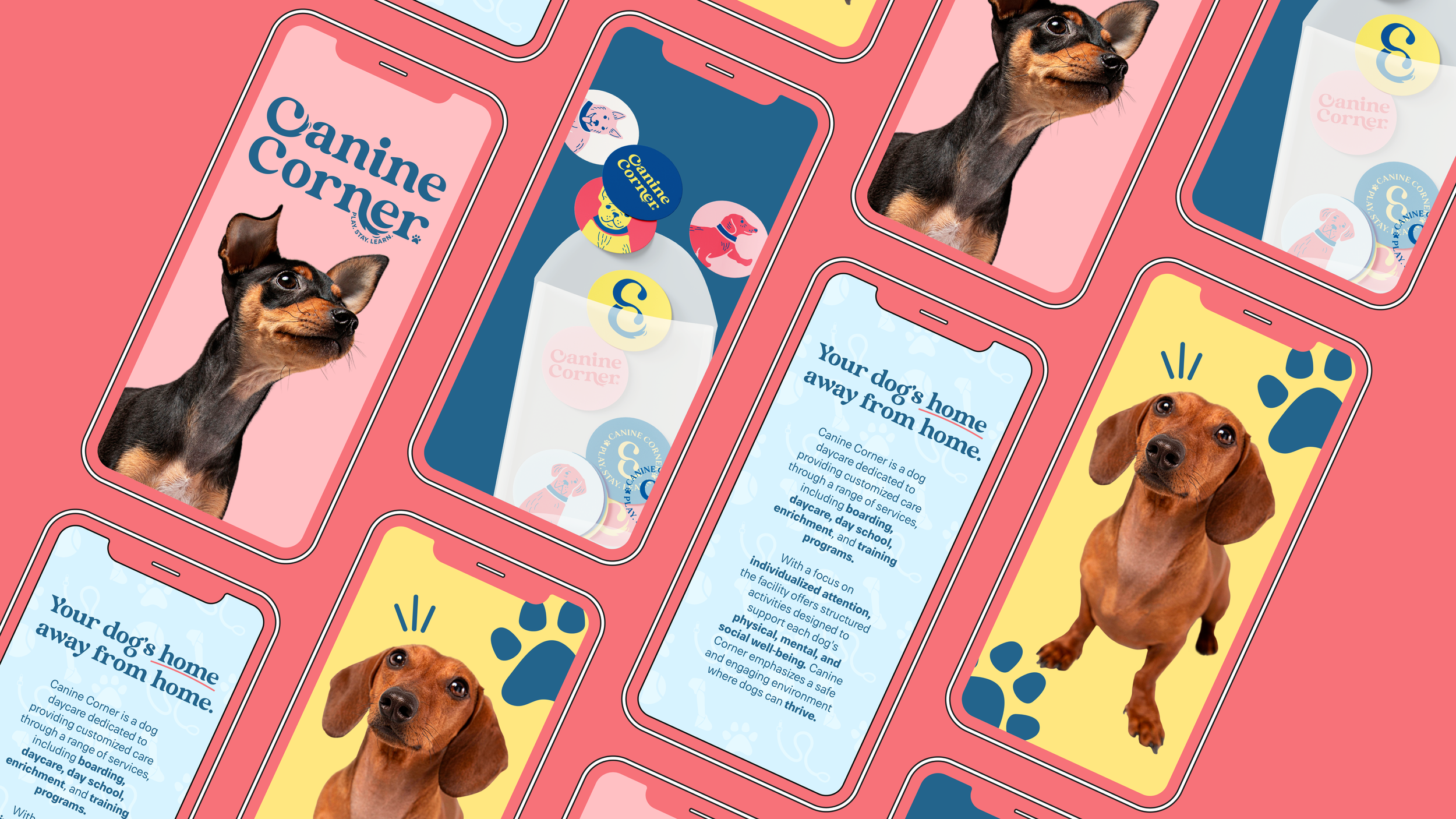 Canine Corner | Tyra in Color