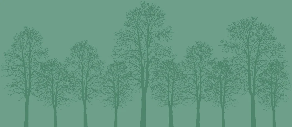 Board Of Directors — Millican Ogden Community Association