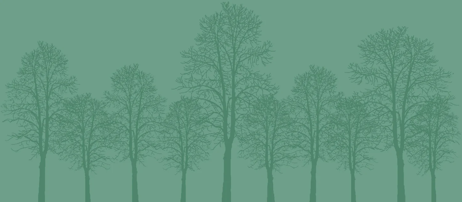Board Of Directors — Millican Ogden Community Association