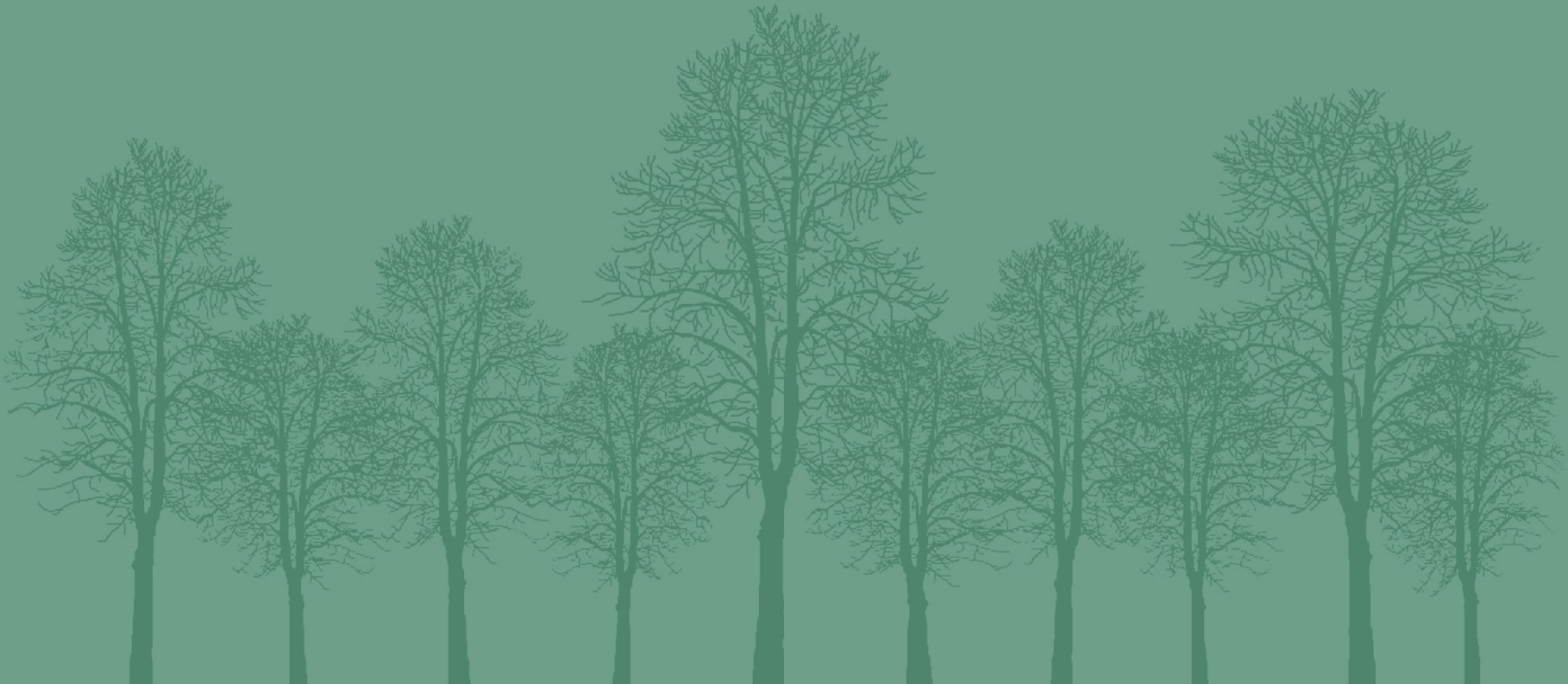 Board Of Directors — Millican Ogden Community Association