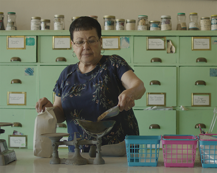 About The Film — Mirasol