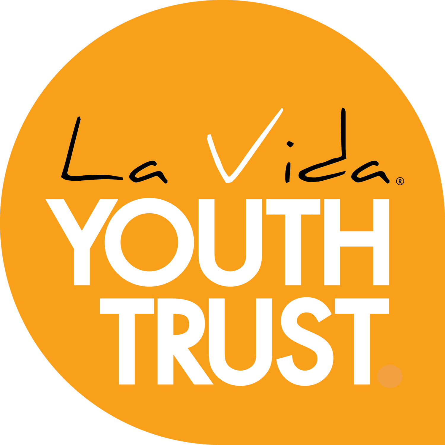La Vida Youth Trust La Vida Youth Trust