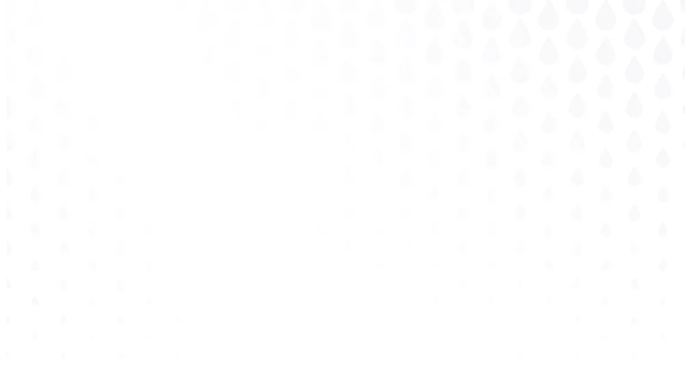 Rayn Social | Marketing Agency