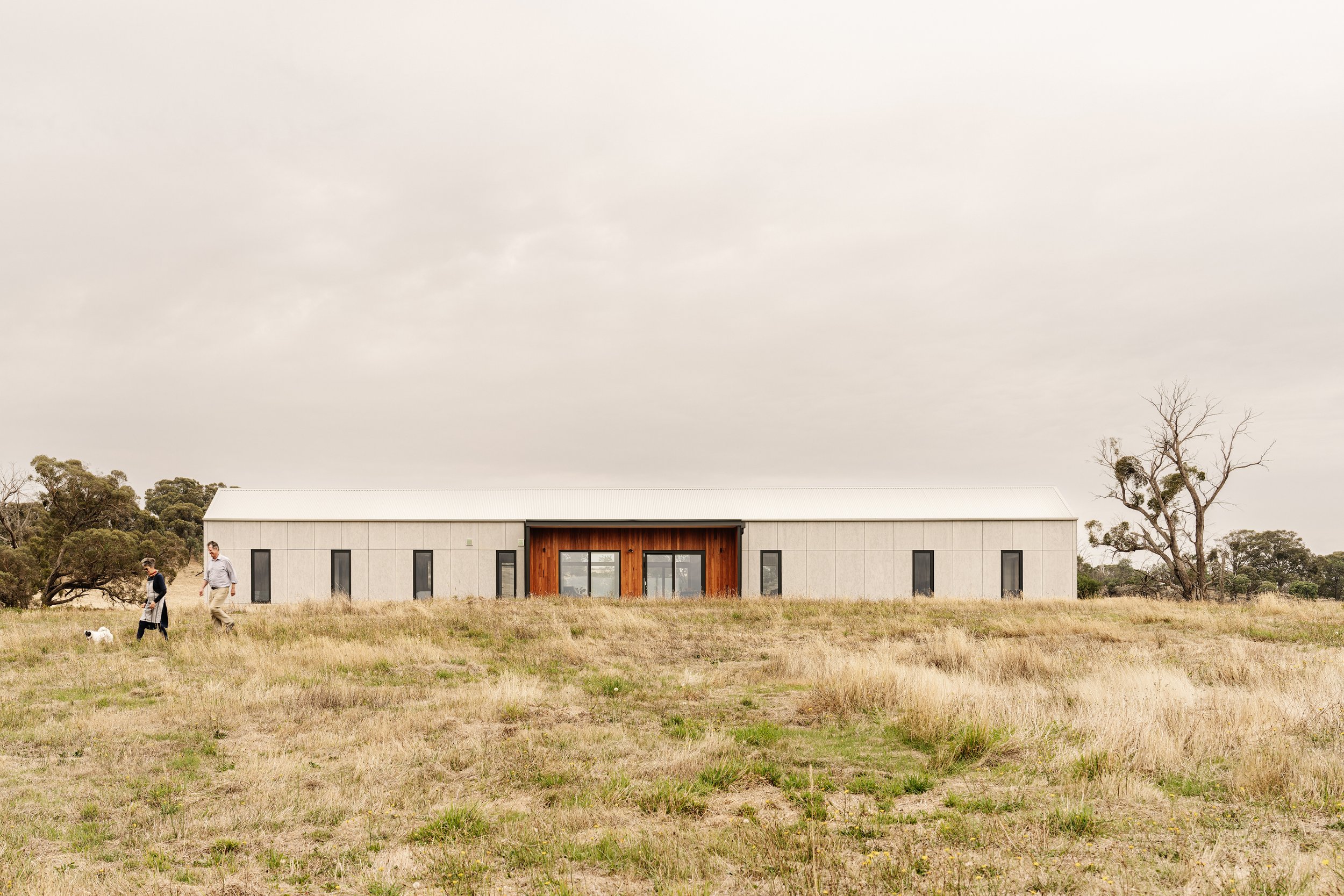 Bringing nature home: Infusing interiors with natural forms and ...