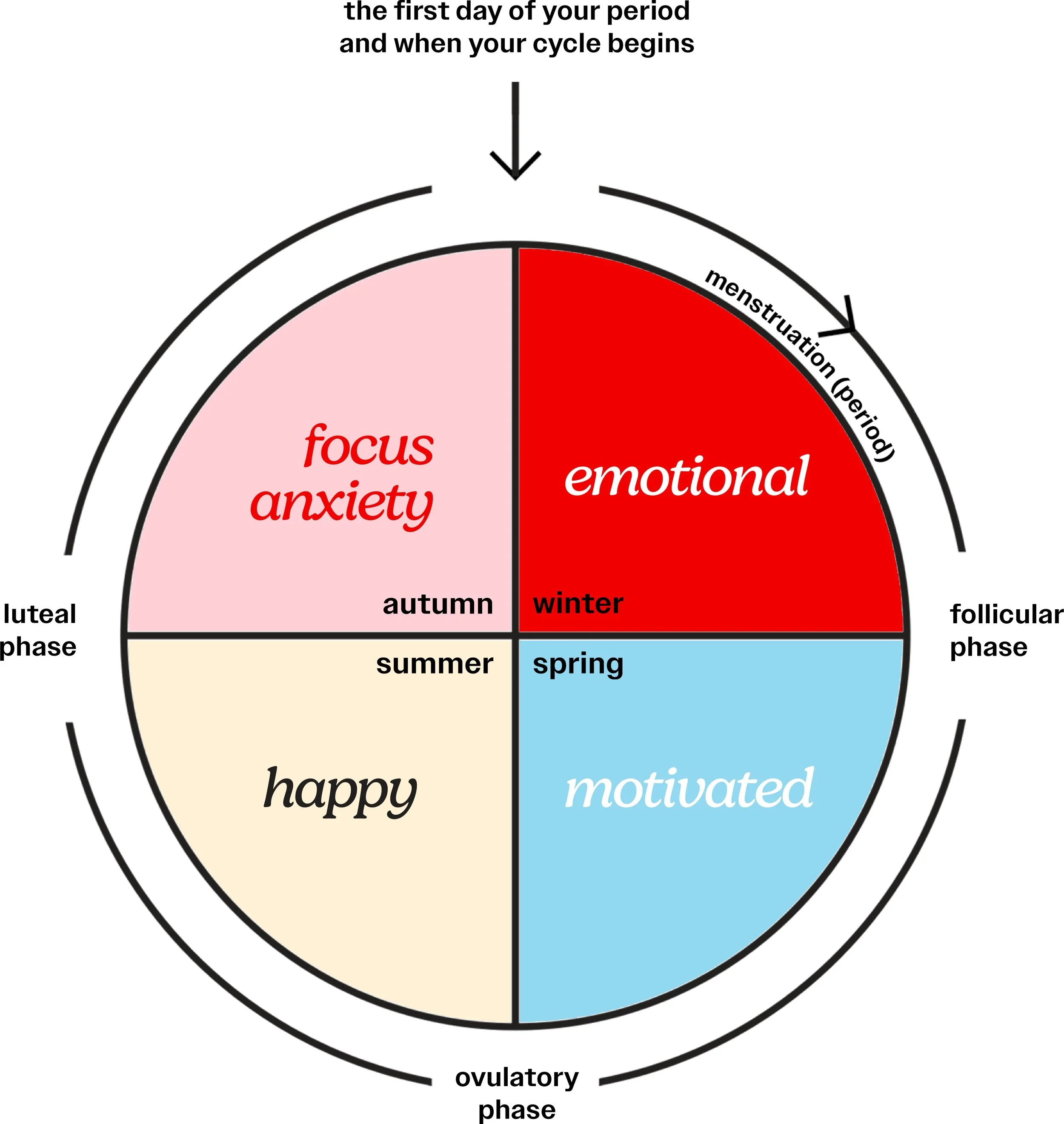 Menstrual Cycle Basics I Let's get started — Understand Your Cycle